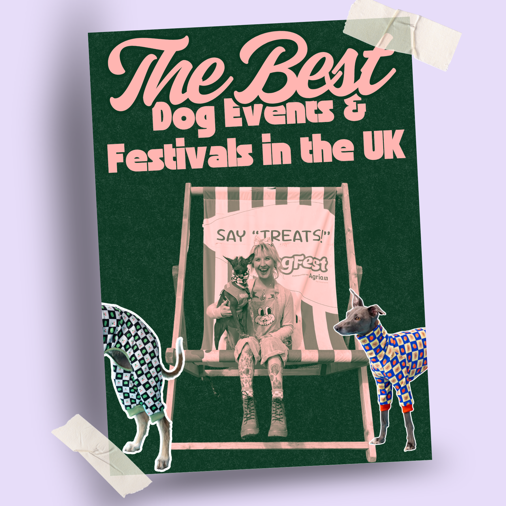 best-dog-events-uk-2026 – Poochie Keen