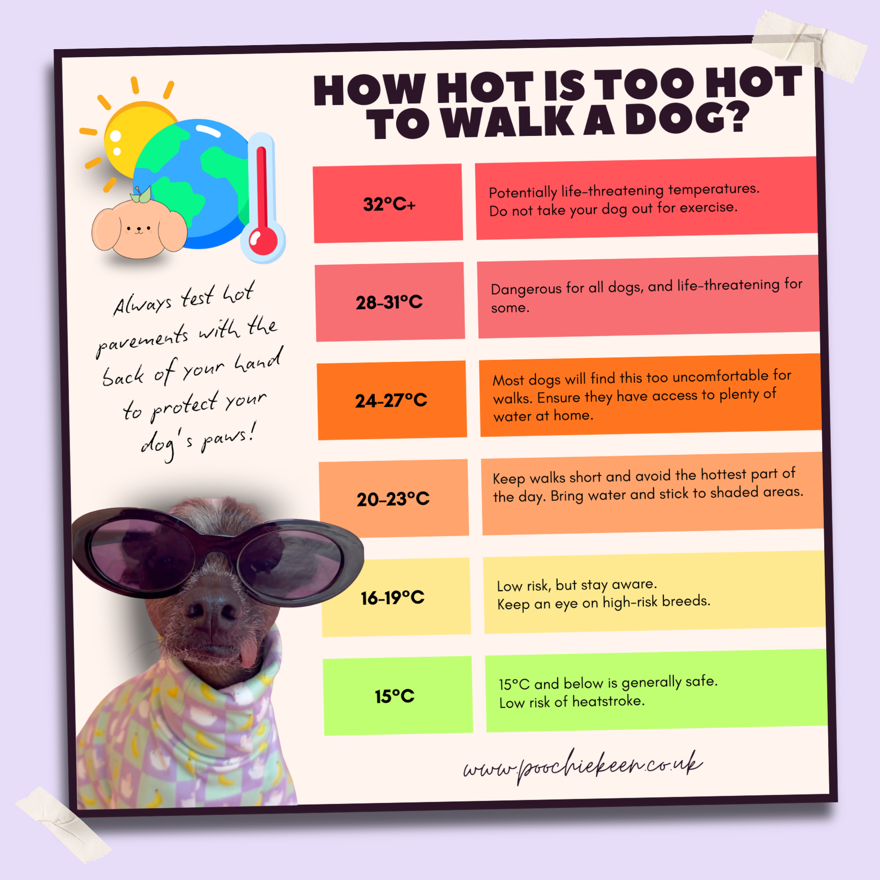 How Hot Is Too Hot to Walk a Dog UK? Safe Temperatures & Heatstroke Gu ...